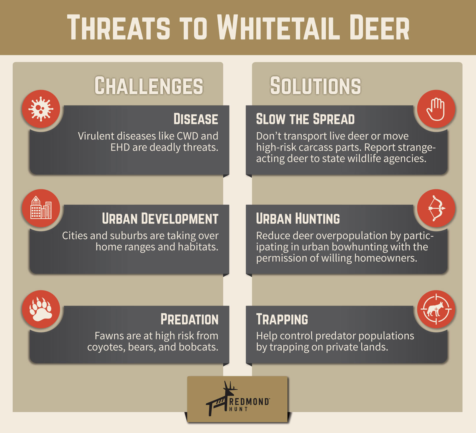 Top 3 Threats Facing Whitetail Deer
