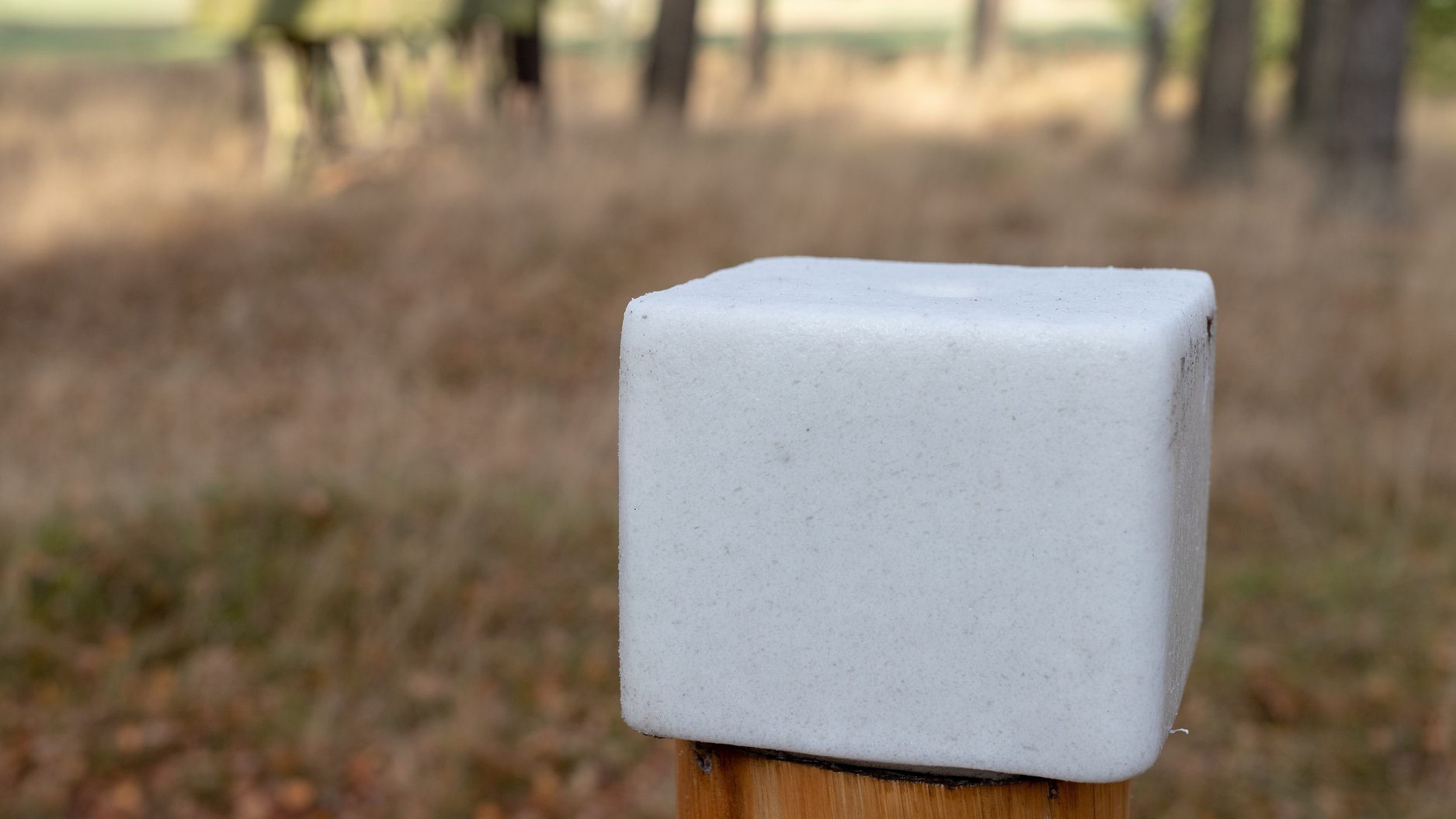 Salt Block for Deer, Mineral Block, or Mined Rock?