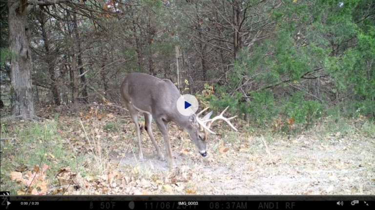 Quick Guide to Understanding Trail Camera Settings